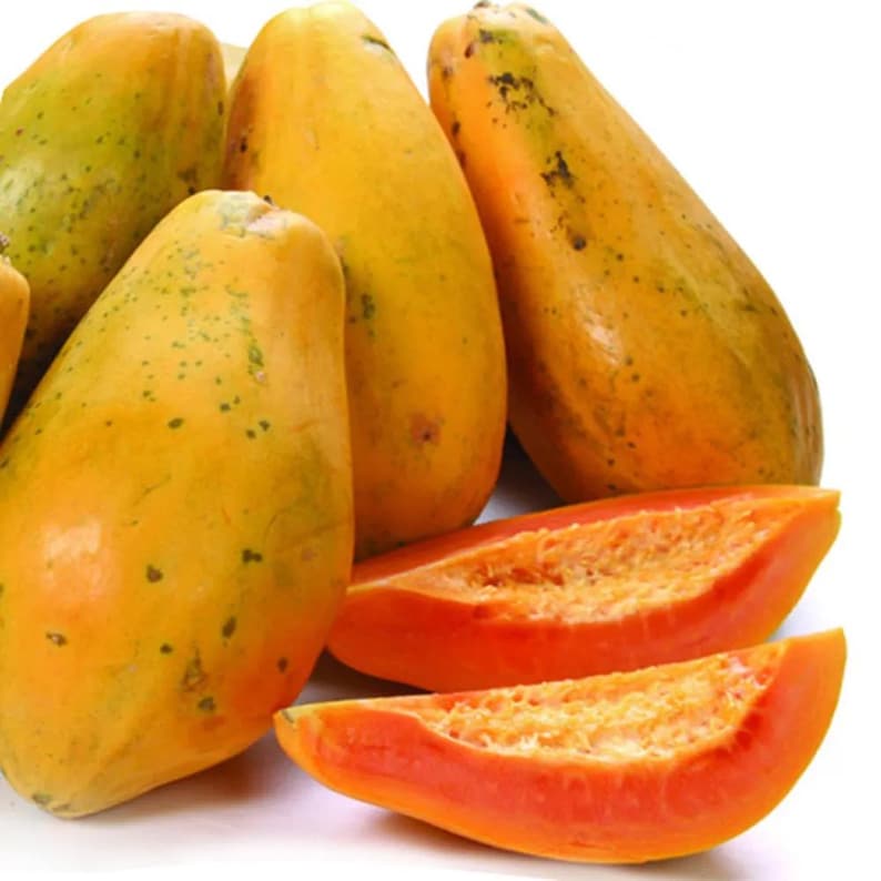 Mexican Papaya Tree Seedling | Grown From Seed | Healthy Live Plant - Etsy
