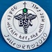Personalized Pin for BSN/ BSN Gift /bsn /nurses / Nursing - Etsy