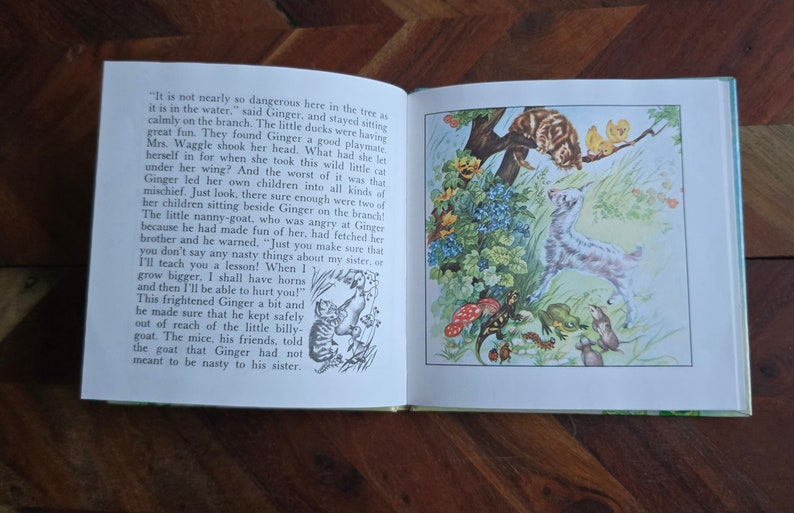 Vintage Children's Book - Ginger the Foundling - Dolly Rudeman - Hard ...