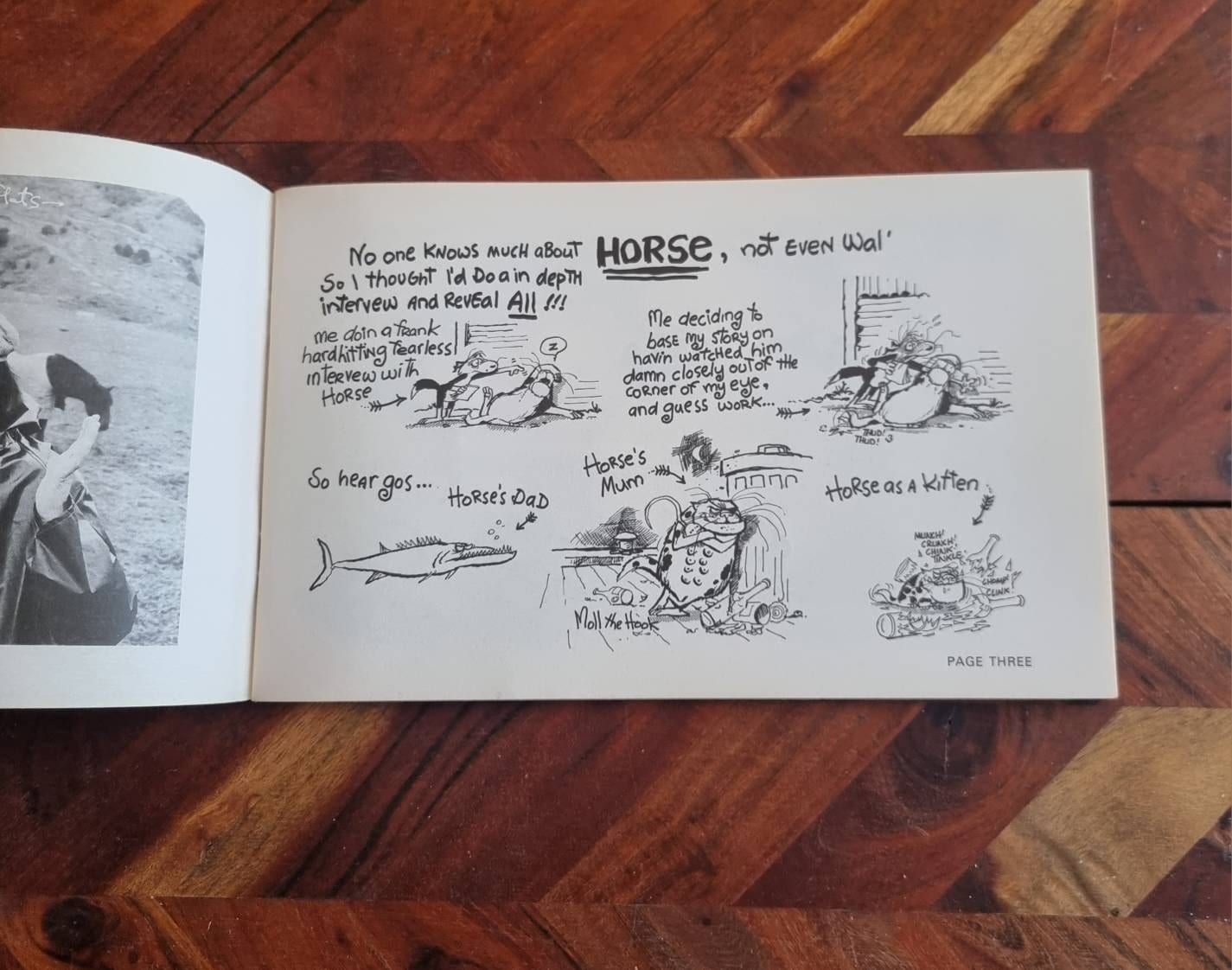 Vintage Comic Books - Footrot Flats - Volume 10 - Murray Ball - 1985 ...
