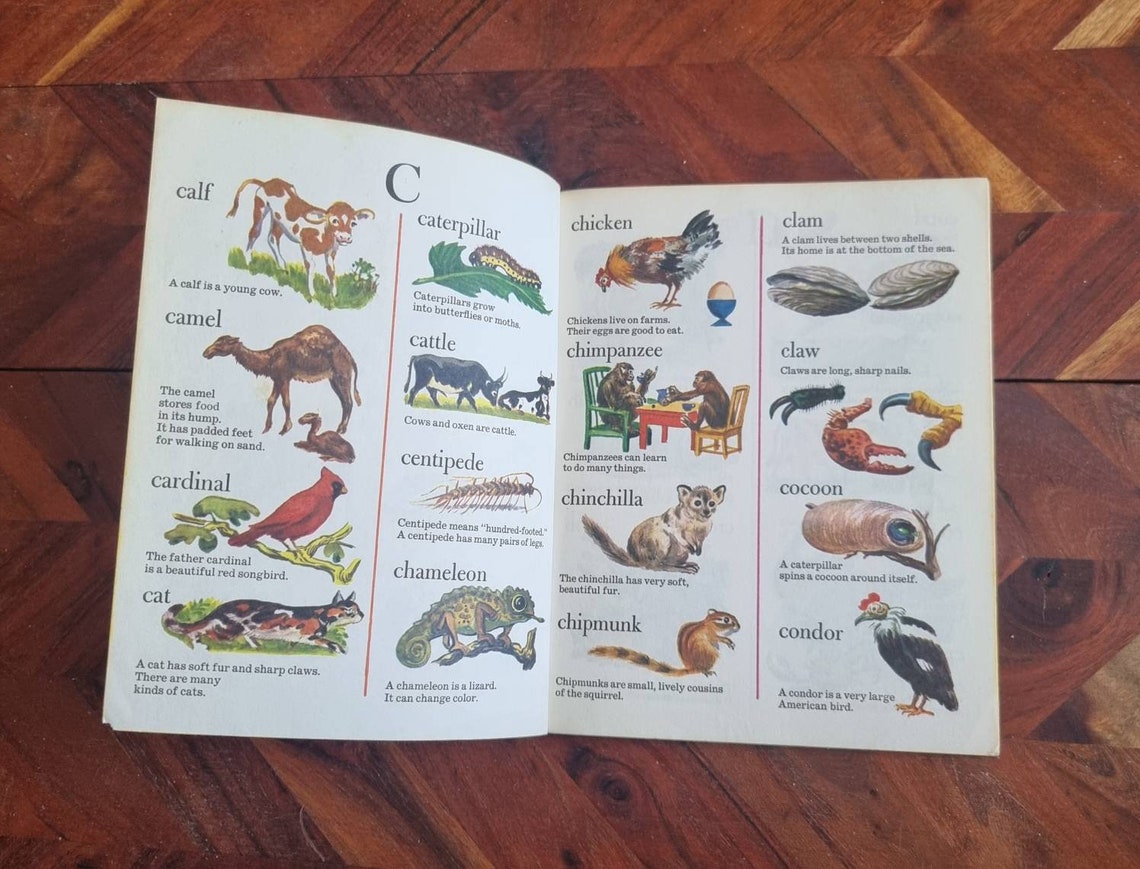 Vintage Children's Book Little Golden Book Animal Dictionary 1975 ...