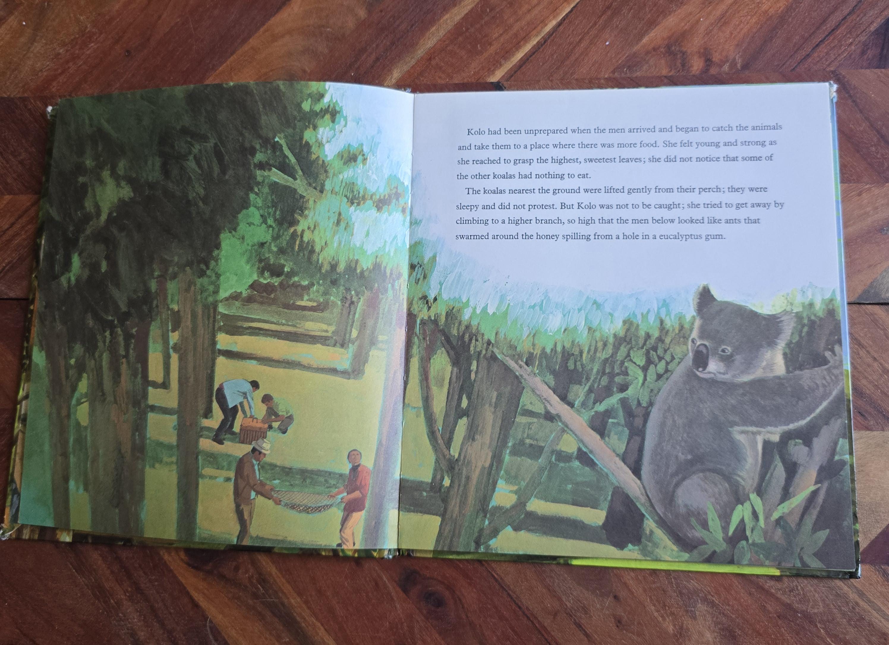 Vintage Childrens Books - Australian Golden Book - Kolo the Bush Koala ...