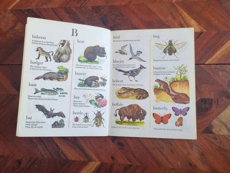 Vintage Children's Book Little Golden Book Animal - Etsy