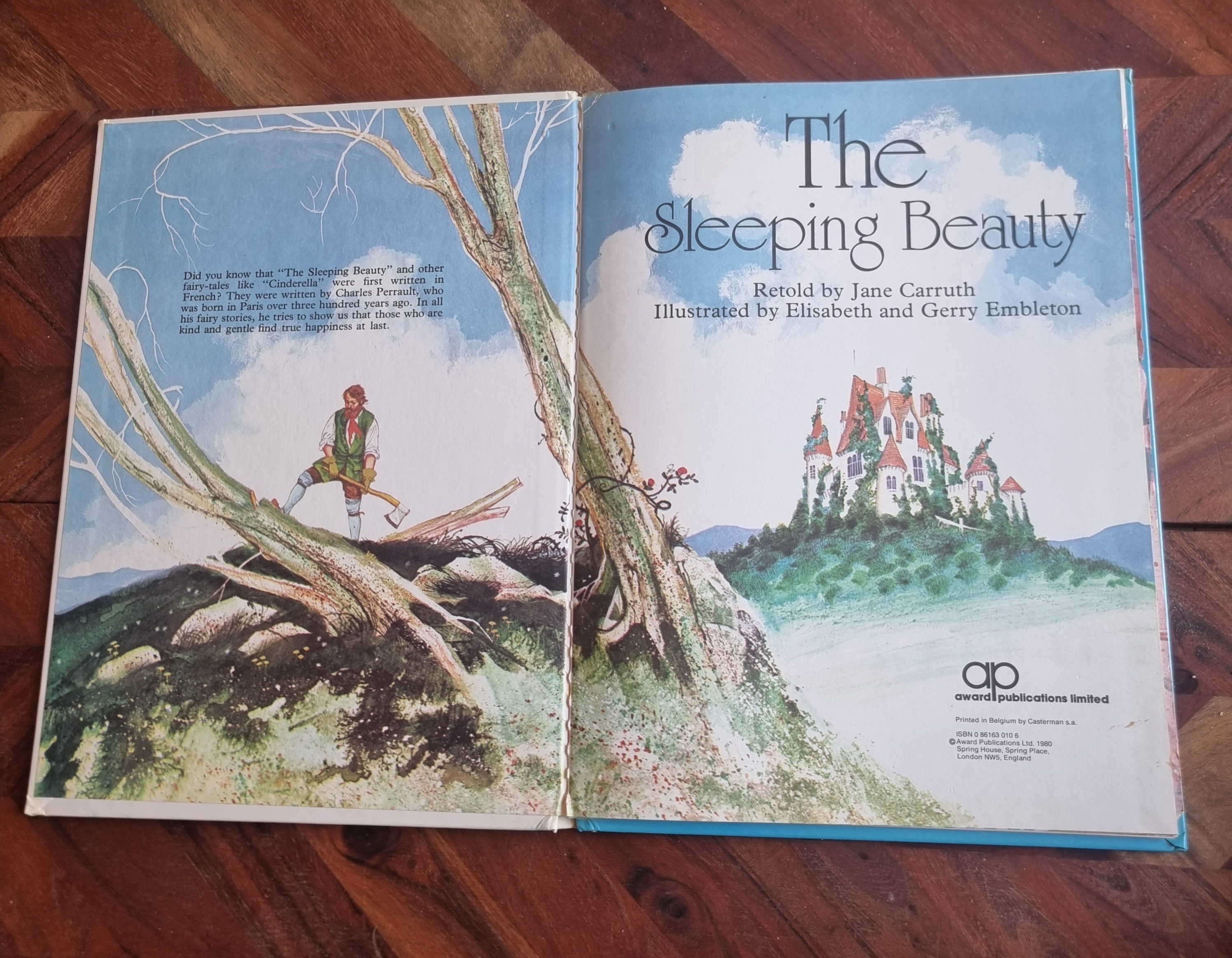 Vintage Children's Book Sleeping Beauty Retold by Jane - Etsy