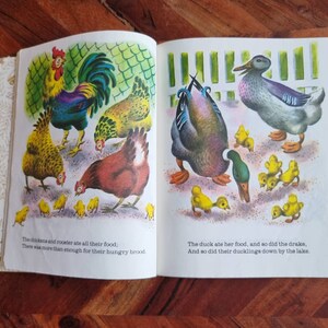 Vintage Children's Book - Little Golden Book - the Happy Farm Animals ...