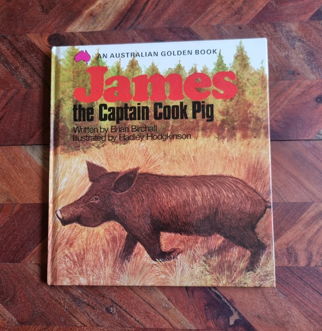 Vintage Childrens Books - Australian Golden Book - James the Captain ...