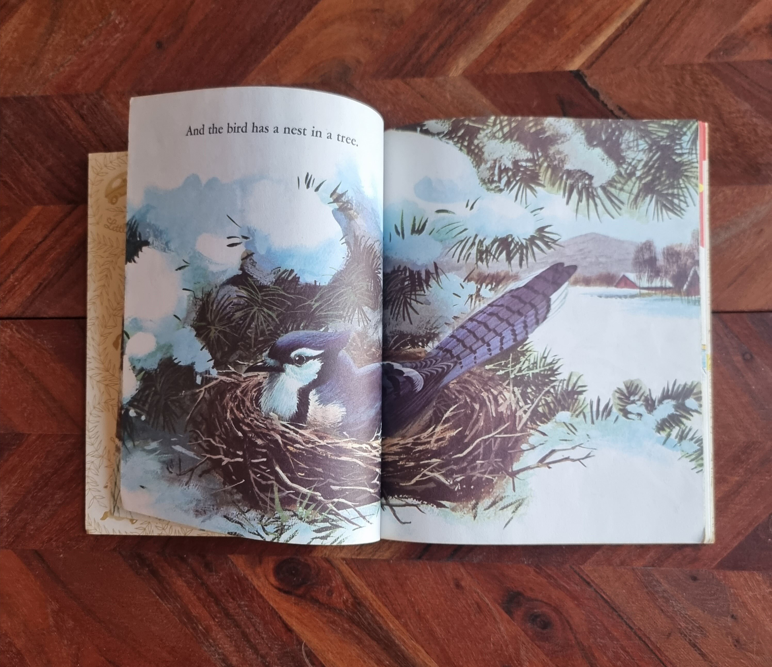 Vintage Children's Book - Little Golden Book - Where is Bear? - 1978 ...