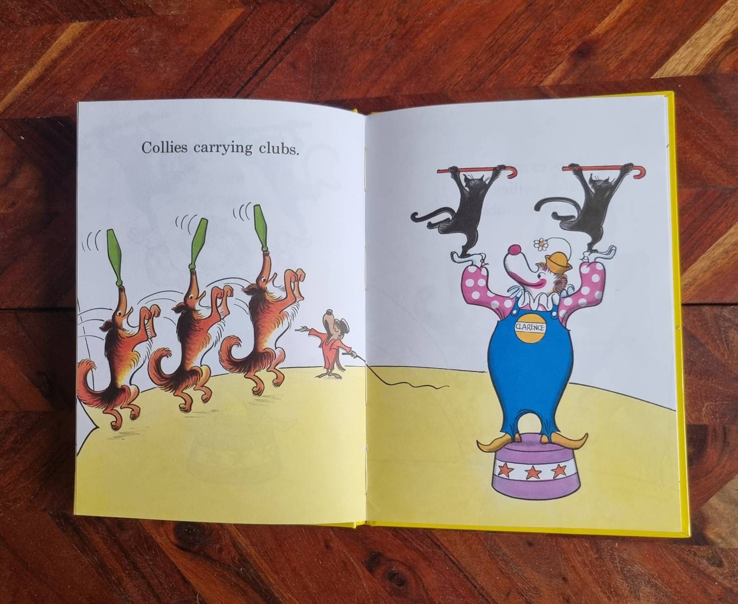 Vintage Children's Book C is for Clown A Circus of C Words Stan and Jan ...