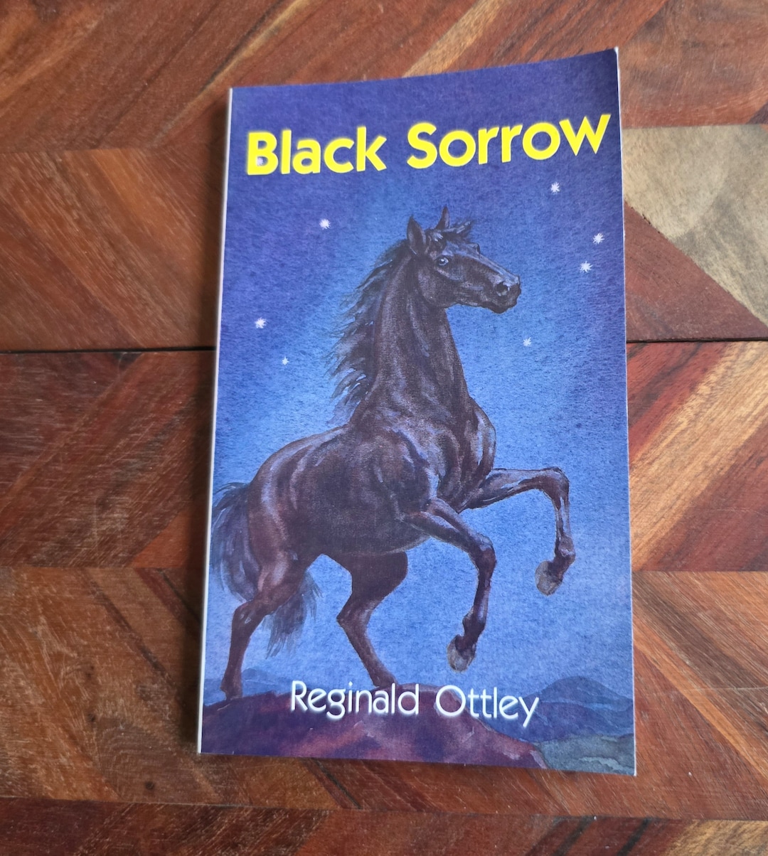 Vintage Children Books - Black Sorrow - Reginald Ottley - 1989 Soft ...