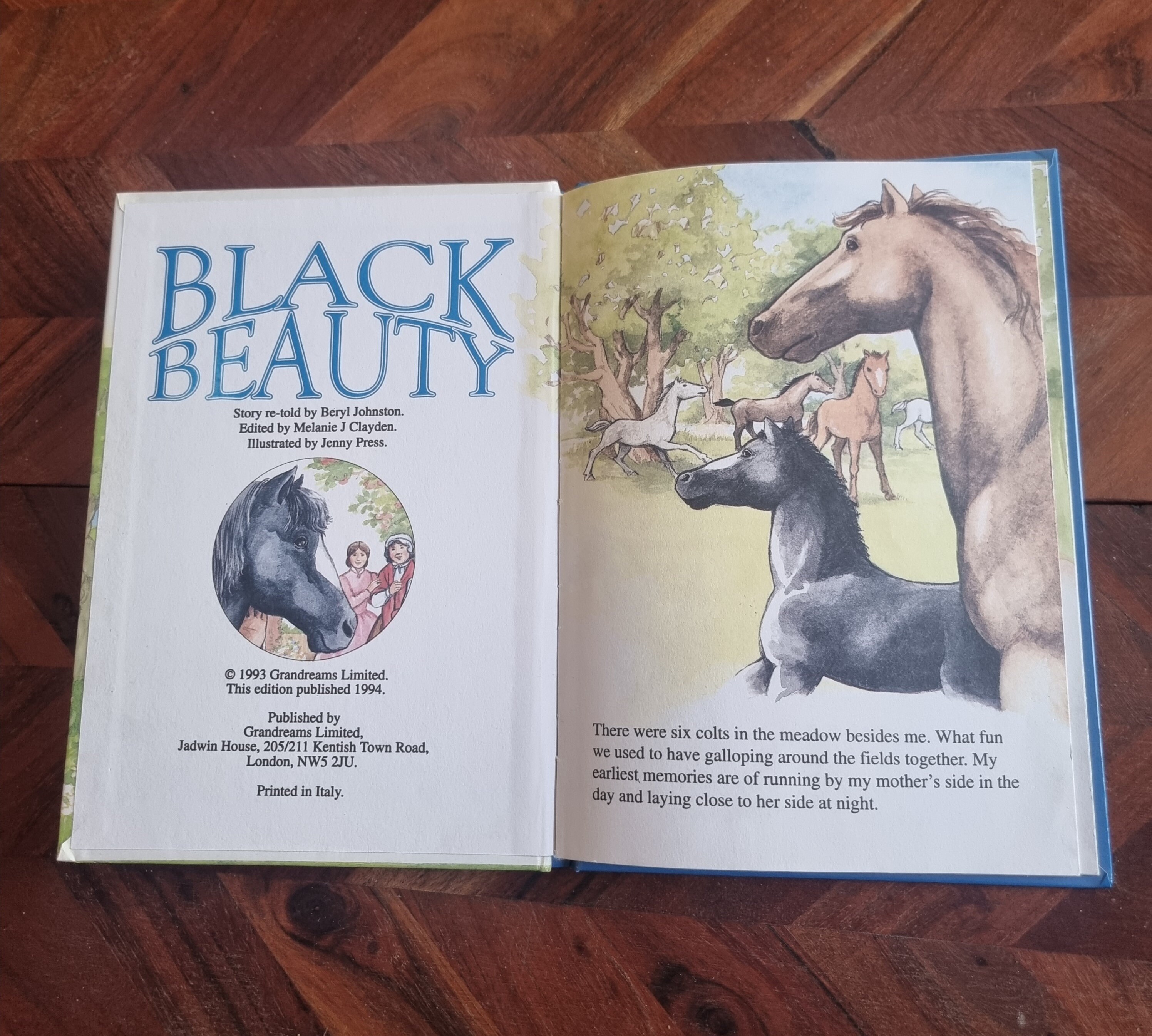 Vintage Childrens Books Classic Tale Storybook Heidi Black Beauty ...