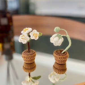 May Birth Flower Crochet Collection: Crocheted Potted Hawthorn, Lily of ...