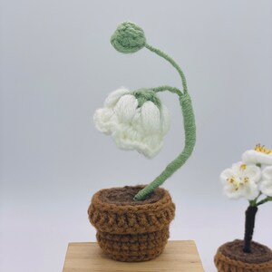 May Birth Flower Crochet Collection: Crocheted Potted Hawthorn, Lily of ...