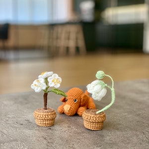 May Birth Flower Crochet Collection: Crocheted Potted Hawthorn, Lily of ...