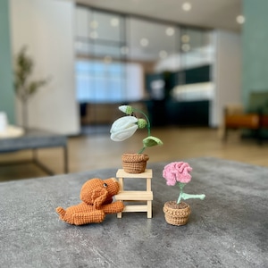 January Birth Flower Crochet Collection: Crocheted Potted Snowdrops ...