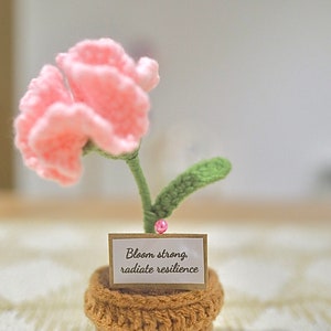 January Birth Flower Crochet Collection: Crocheted Potted Snowdrops ...