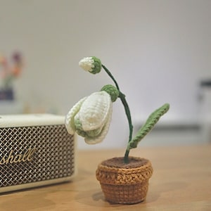 January Birth Flower Crochet Collection: Crocheted Potted Snowdrops ...