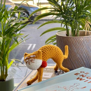 Crochet Pattern - Funny Cat DIY Pattern - Etsy