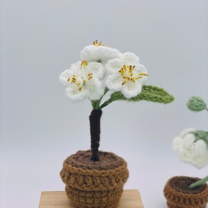 May Birth Flower Crochet Collection: Crocheted Potted Hawthorn, Lily of ...