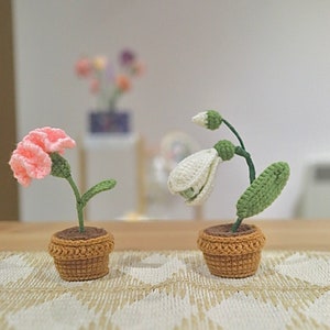 January Birth Flower Crochet Collection: Crocheted Potted Snowdrops ...