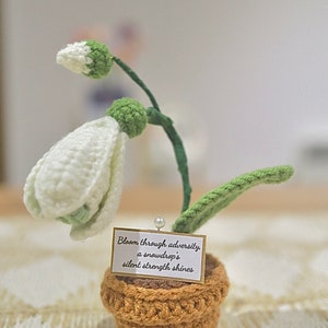 January Birth Flower Crochet Collection: Crocheted Potted Snowdrops ...