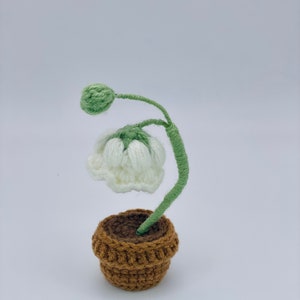 May Birth Flower Crochet Collection: Crocheted Potted Hawthorn, Lily of ...