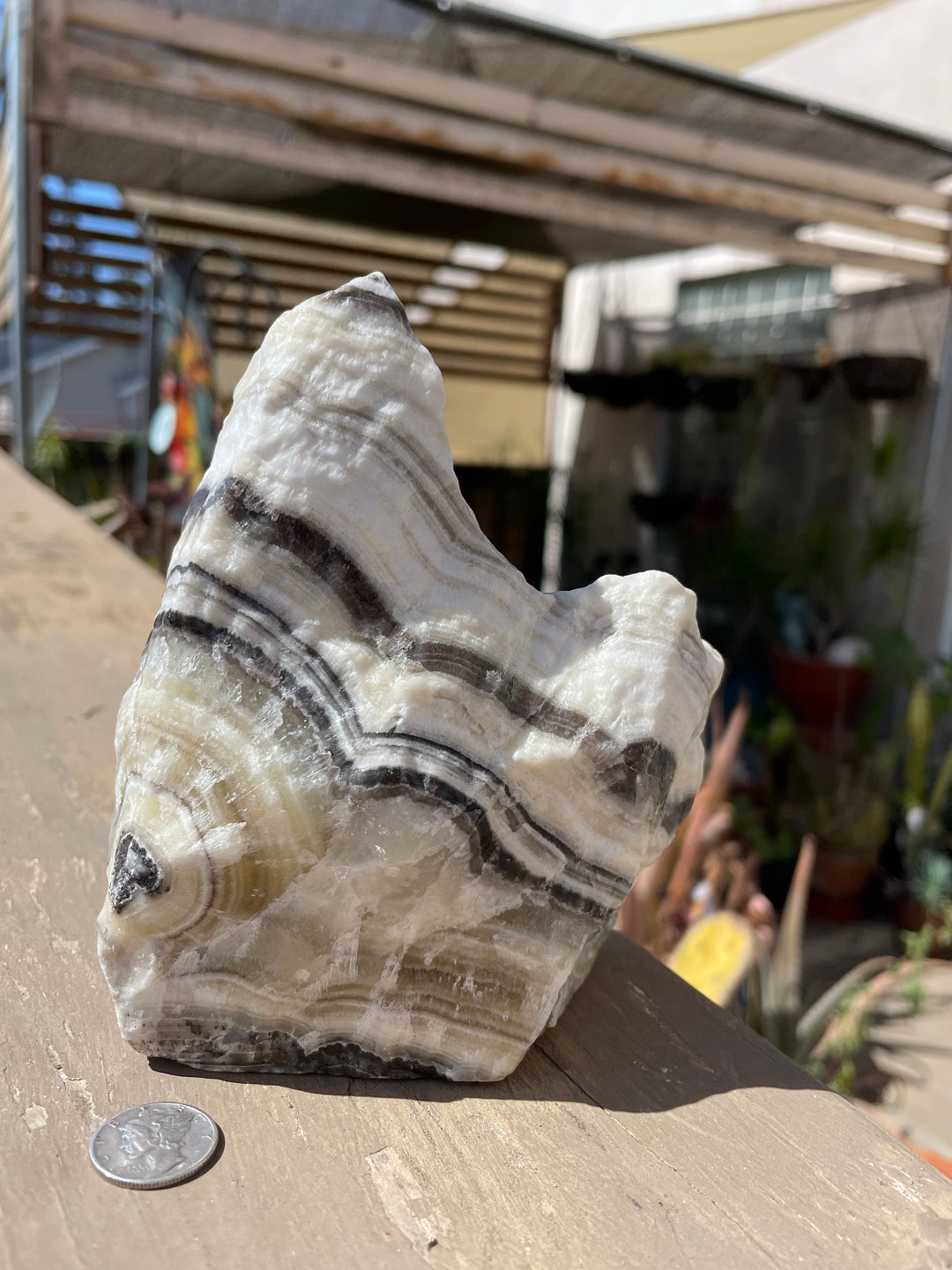 Zebra Calcite Free From, Free Standing Banded Calcite - Etsy