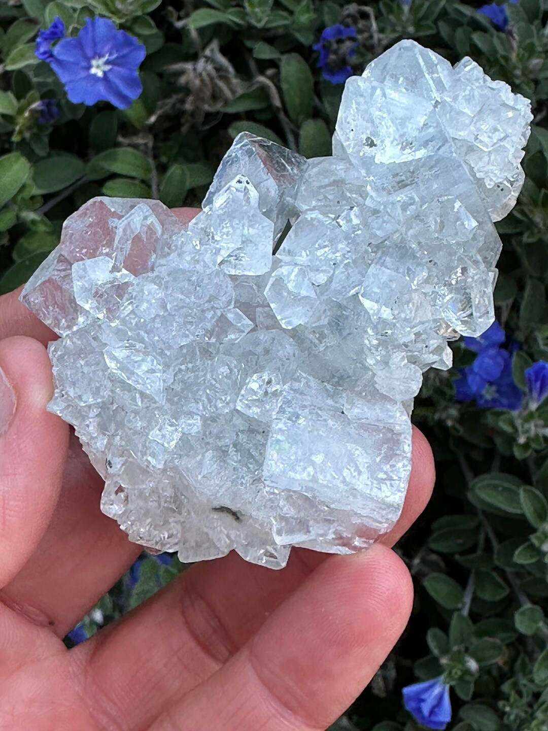 Apophyllite Free Form | Apophyllite | Free Form | Raw Apophyllite - Etsy