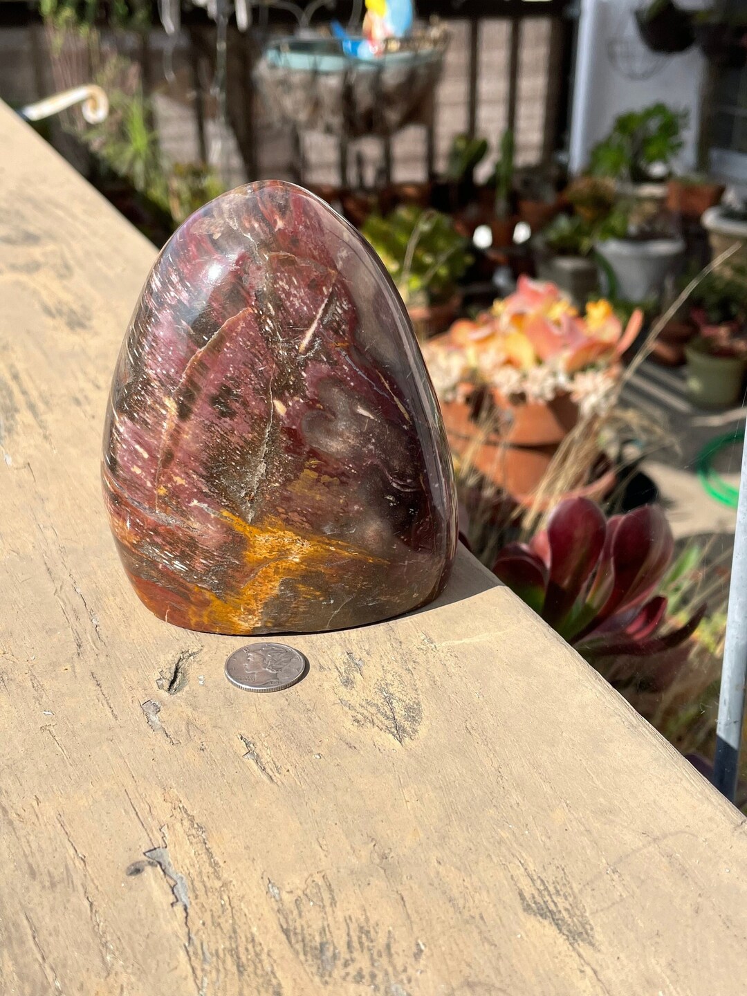 Petrified Wood Sculpture - Etsy