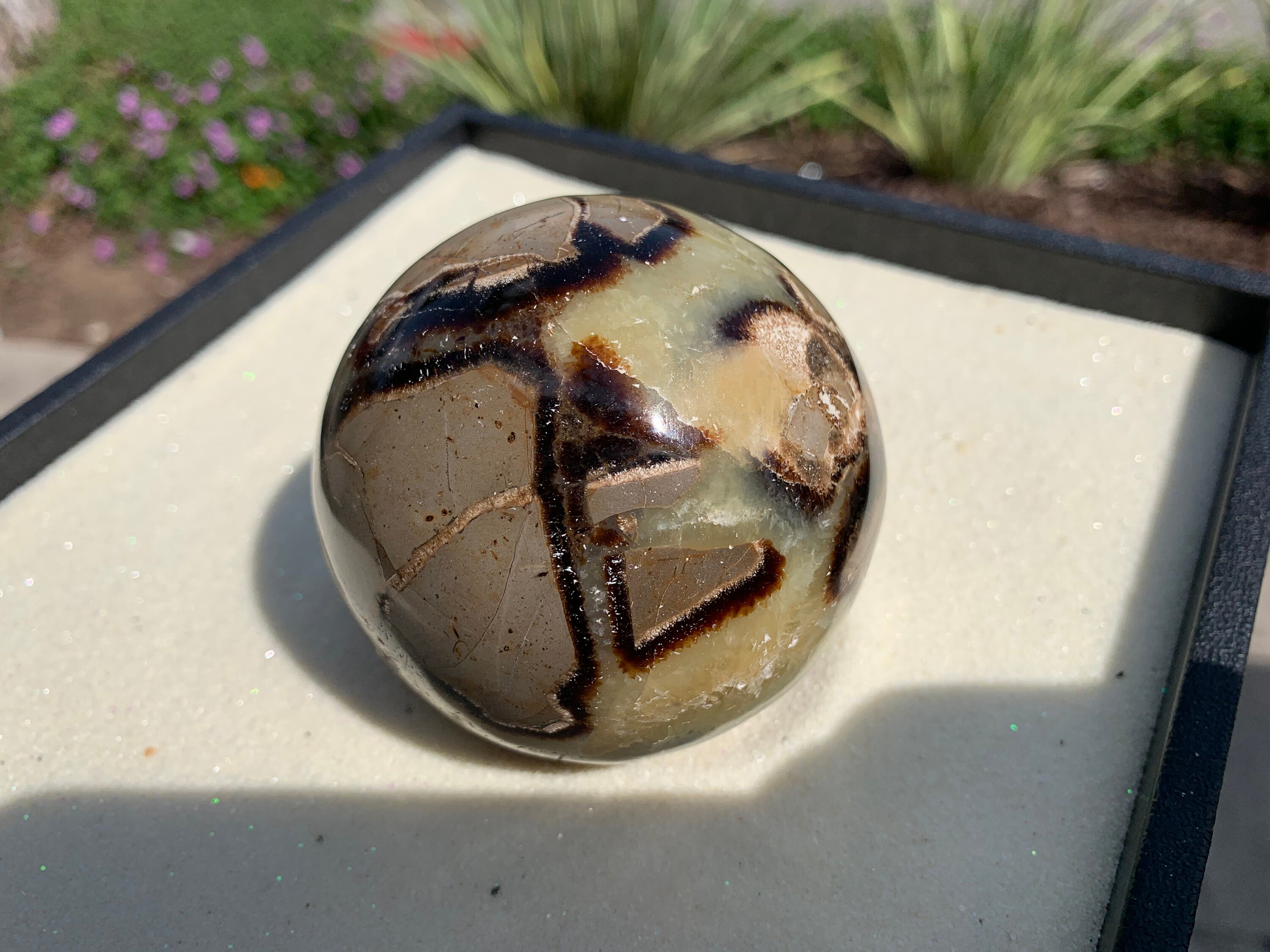 Septarian Dragon Sphere Septarian Nodule | Etsy