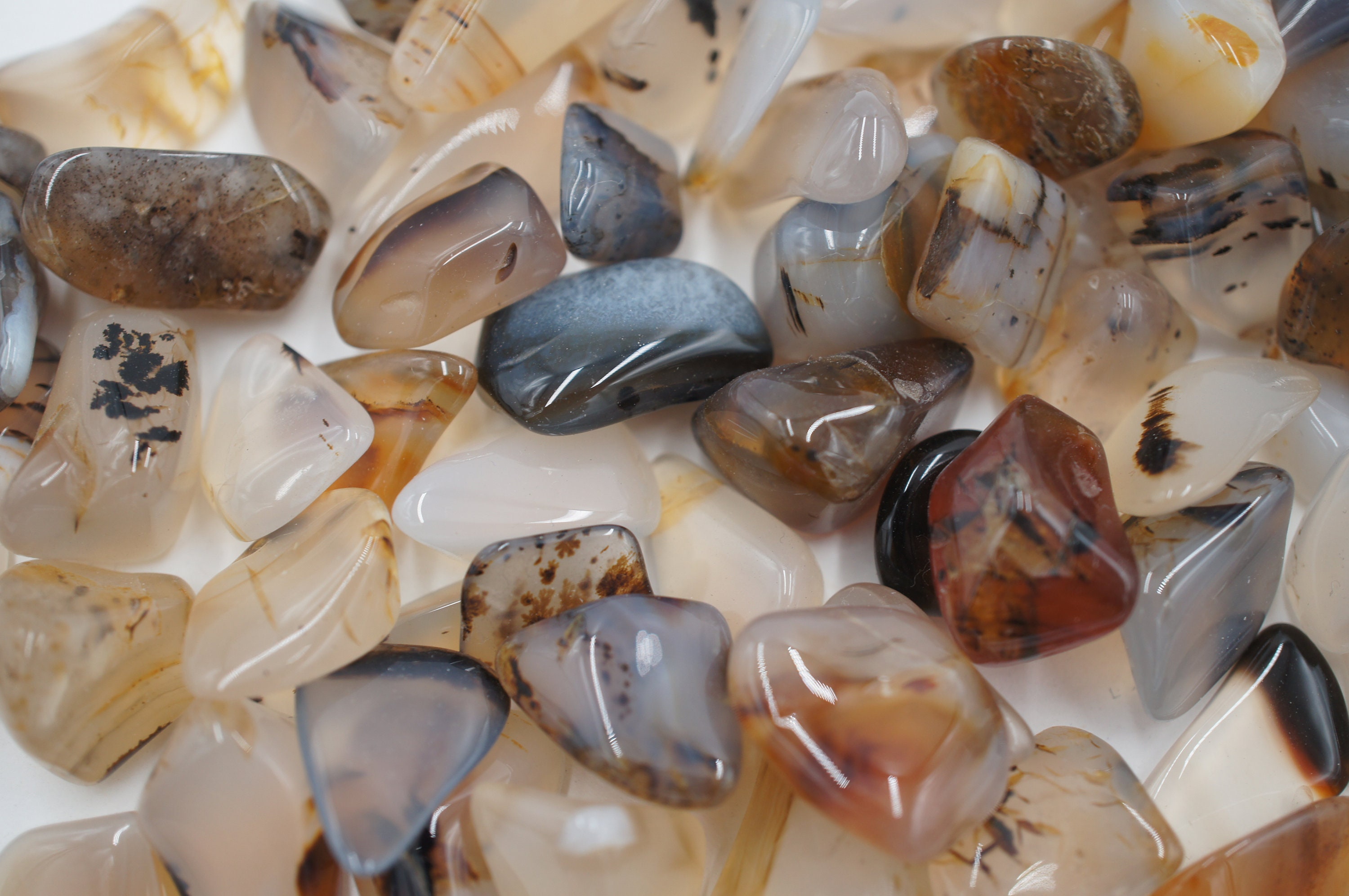 Montana Moss Agate Tumbled Stone | Etsy