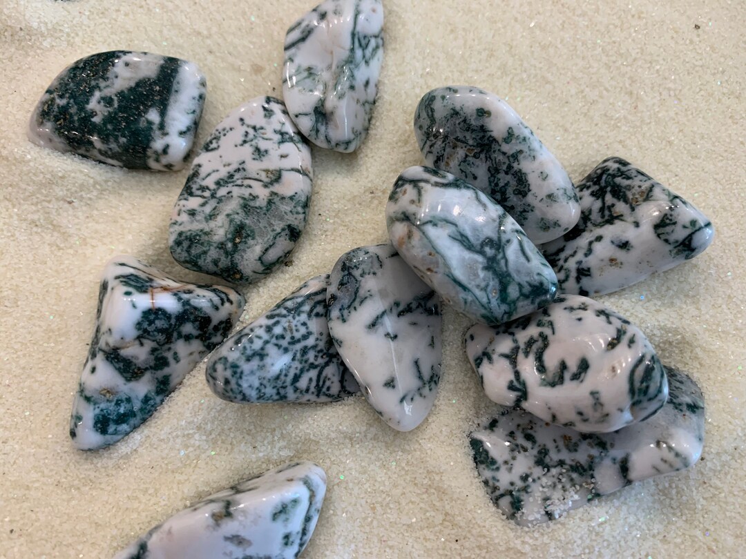 Tree Agate Tumbled Stone, Small Tree Agate Tumble - Etsy