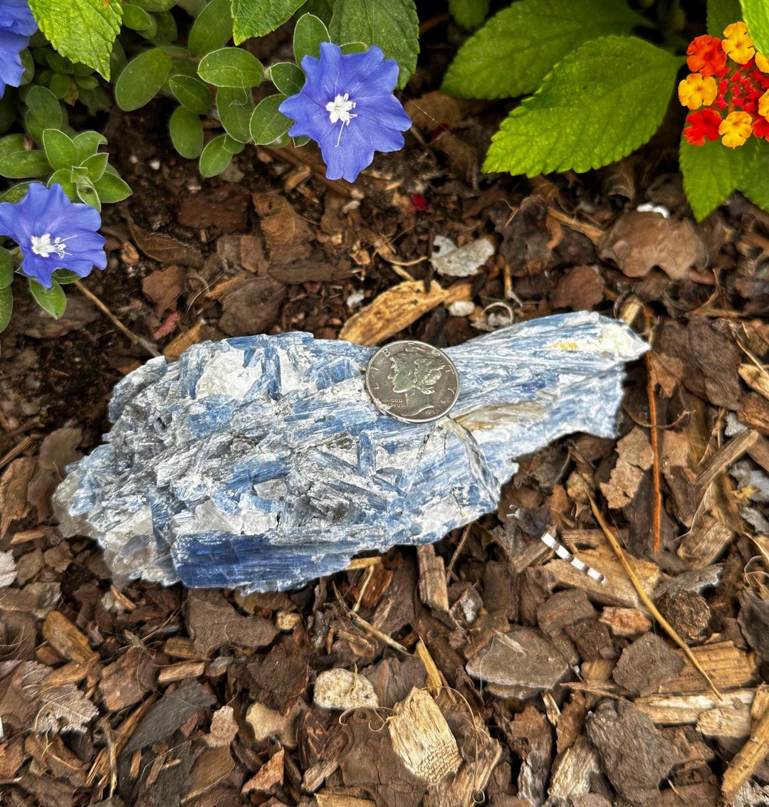 Blue Kyanite Free Form | Raw Blue Kyanite With Quartz | Raw Kyanite ...
