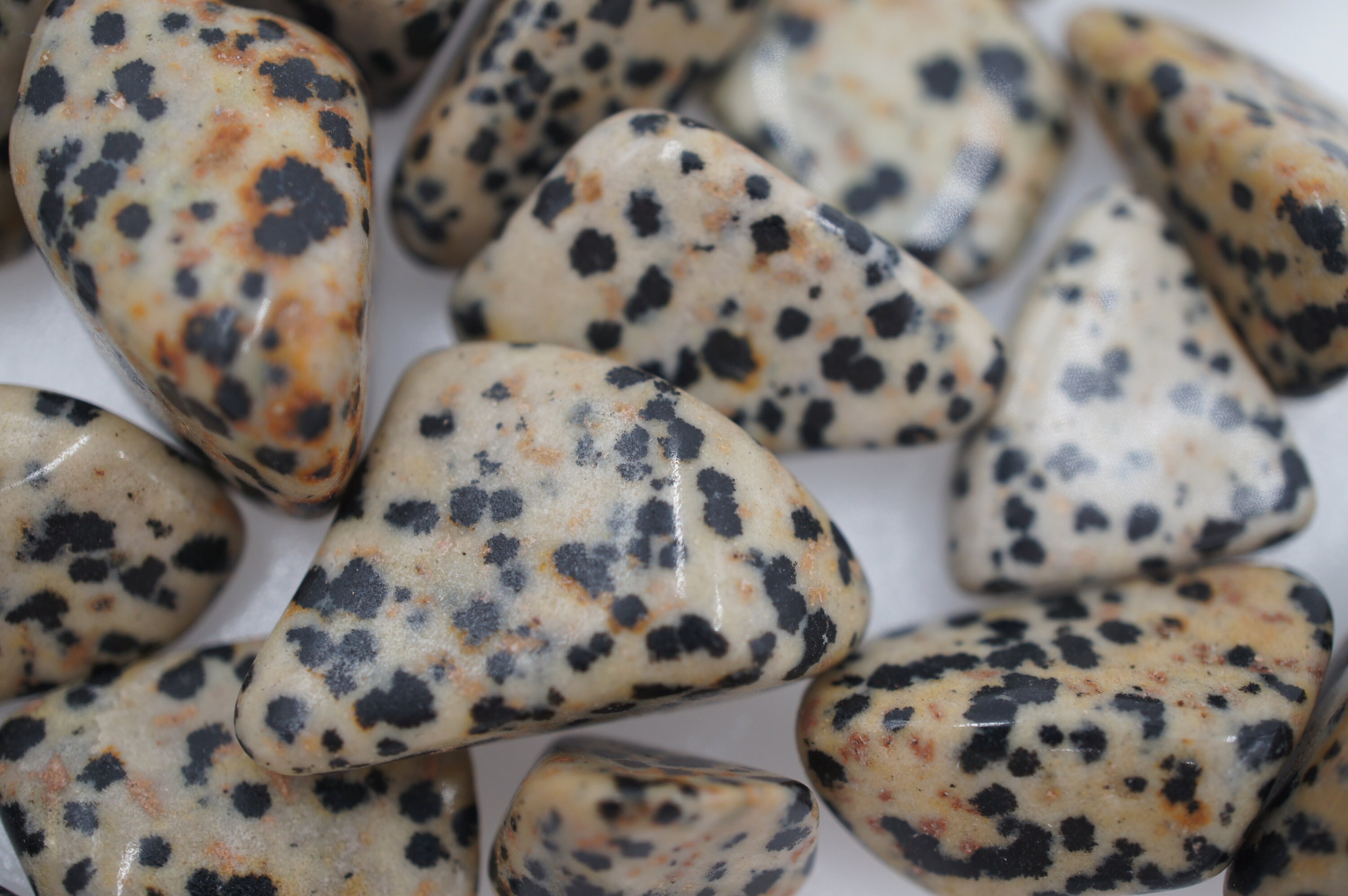 Dalmation Jasper Tumbled Stone Small Dalmation Jasper Tumble - Etsy