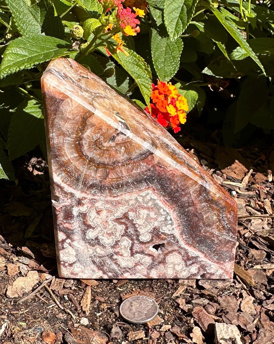 Banded Calcite Specimen | Free Standing Banded Calcite | Polished ...