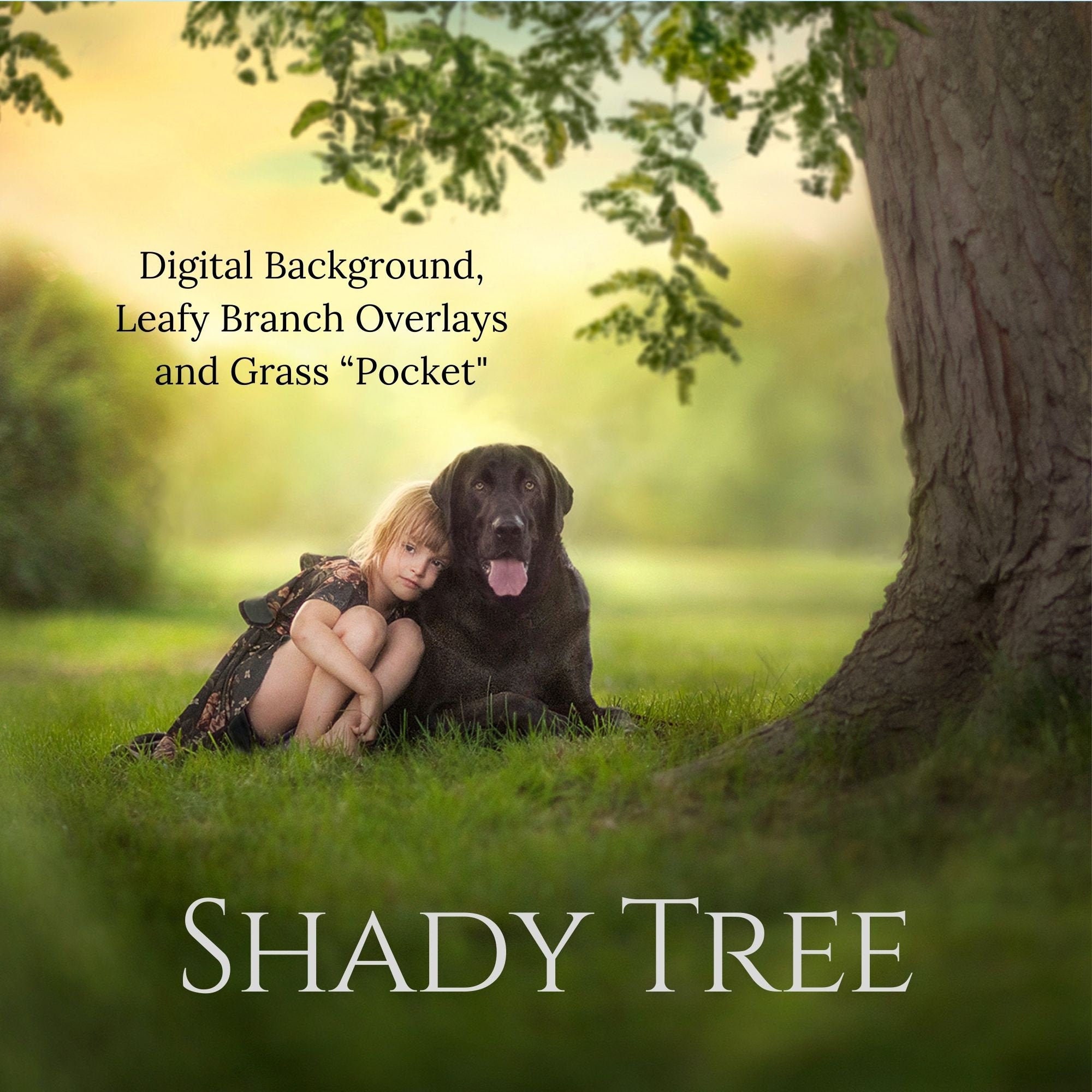 Shady Tree Digital Background With Green Leaf Overlays - Etsy