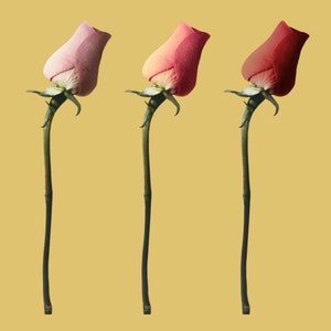 JD Single Pink Rose Overlay - Etsy