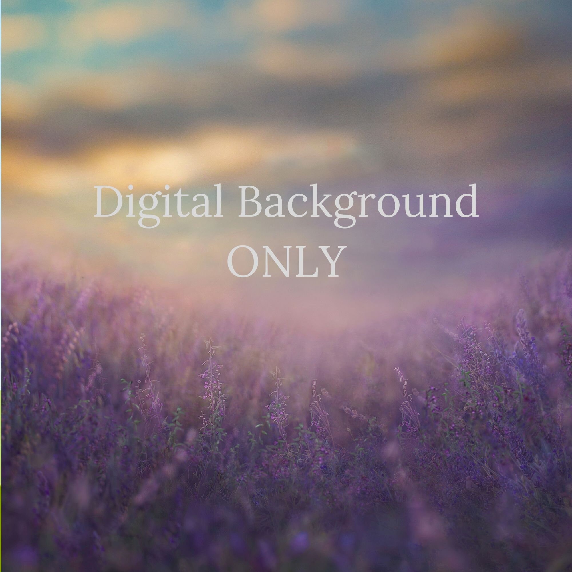 Lavender Fields Digital Background - Etsy