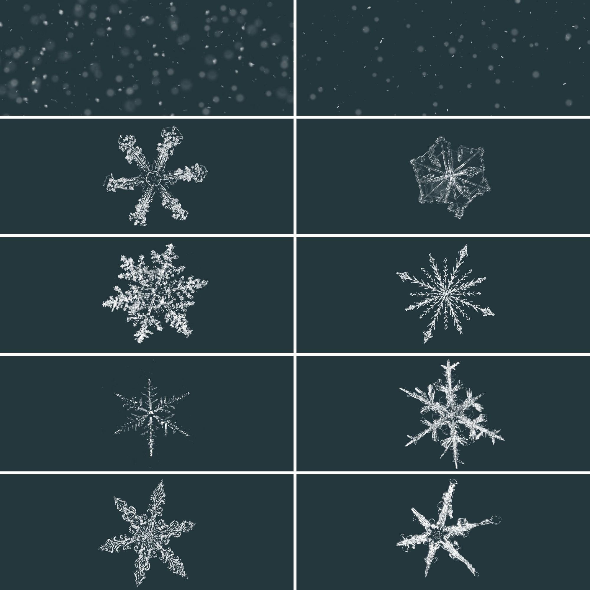JD Snowflake Brushes for Adobe Creative Cloud - Etsy