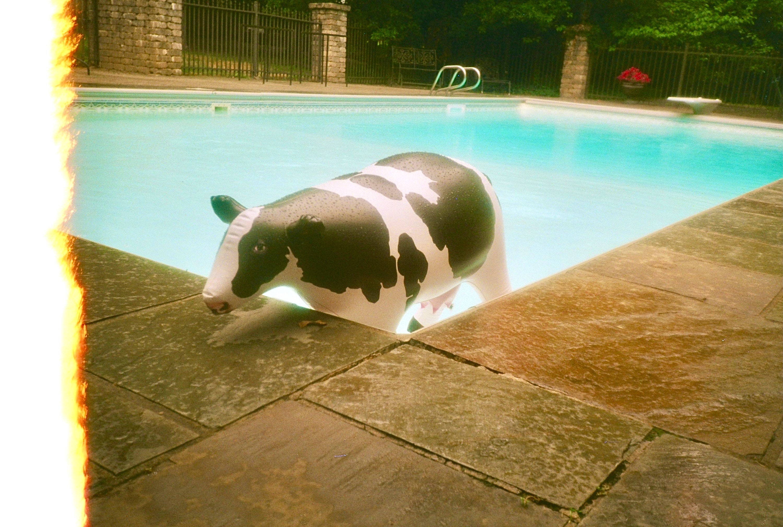 Vintage Ultronic Sport Camera - Etsy