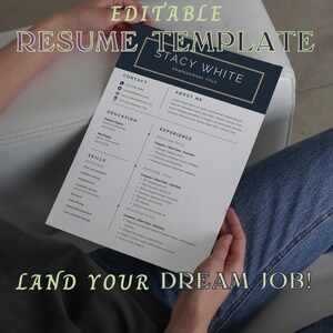 CV Template Professional Resume Template Word Google Docs, Canva ...