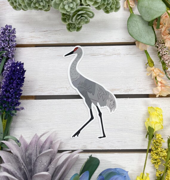 Sandhill Crane Sticker Bird Sticker Birdwatching Sticker - Etsy
