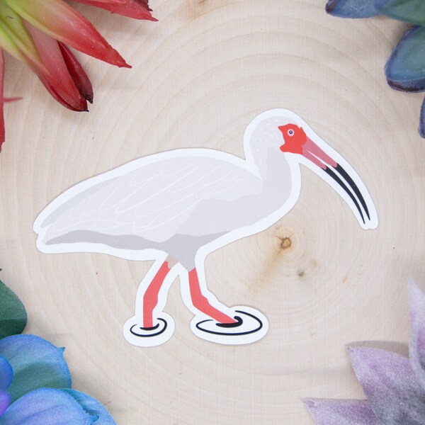 White Ibis - Etsy