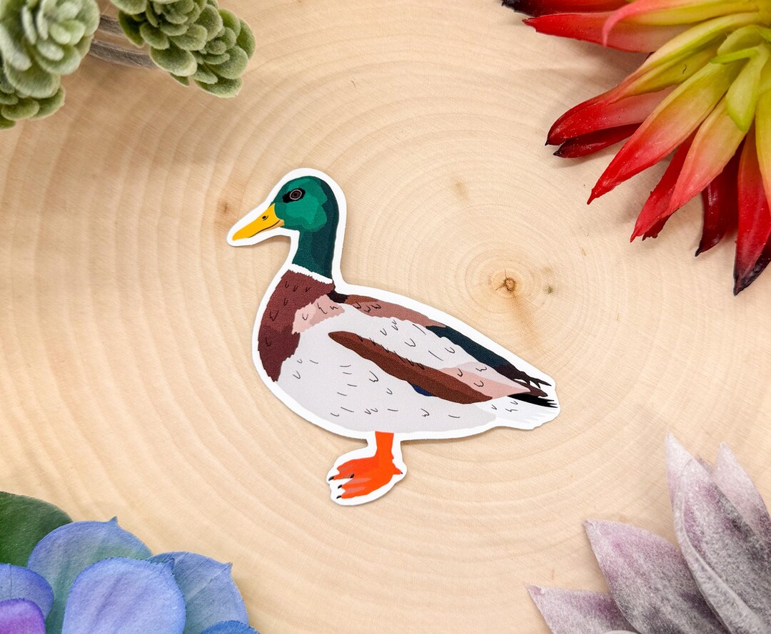 Mallard Sticker, Bird Sticker, Birdwatching Sticker, Birding Sticker ...
