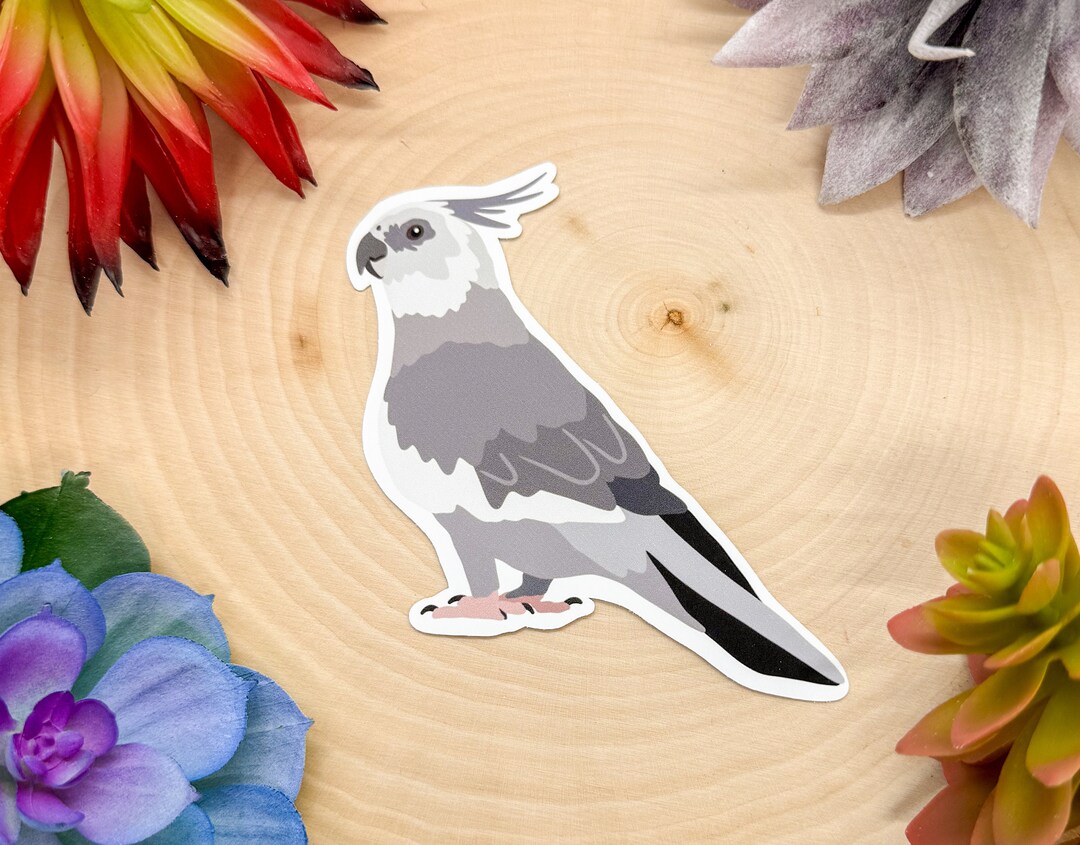 Cockatiel Sticker, Bird Sticker, Birdwatching Sticker, Birding Sticker ...