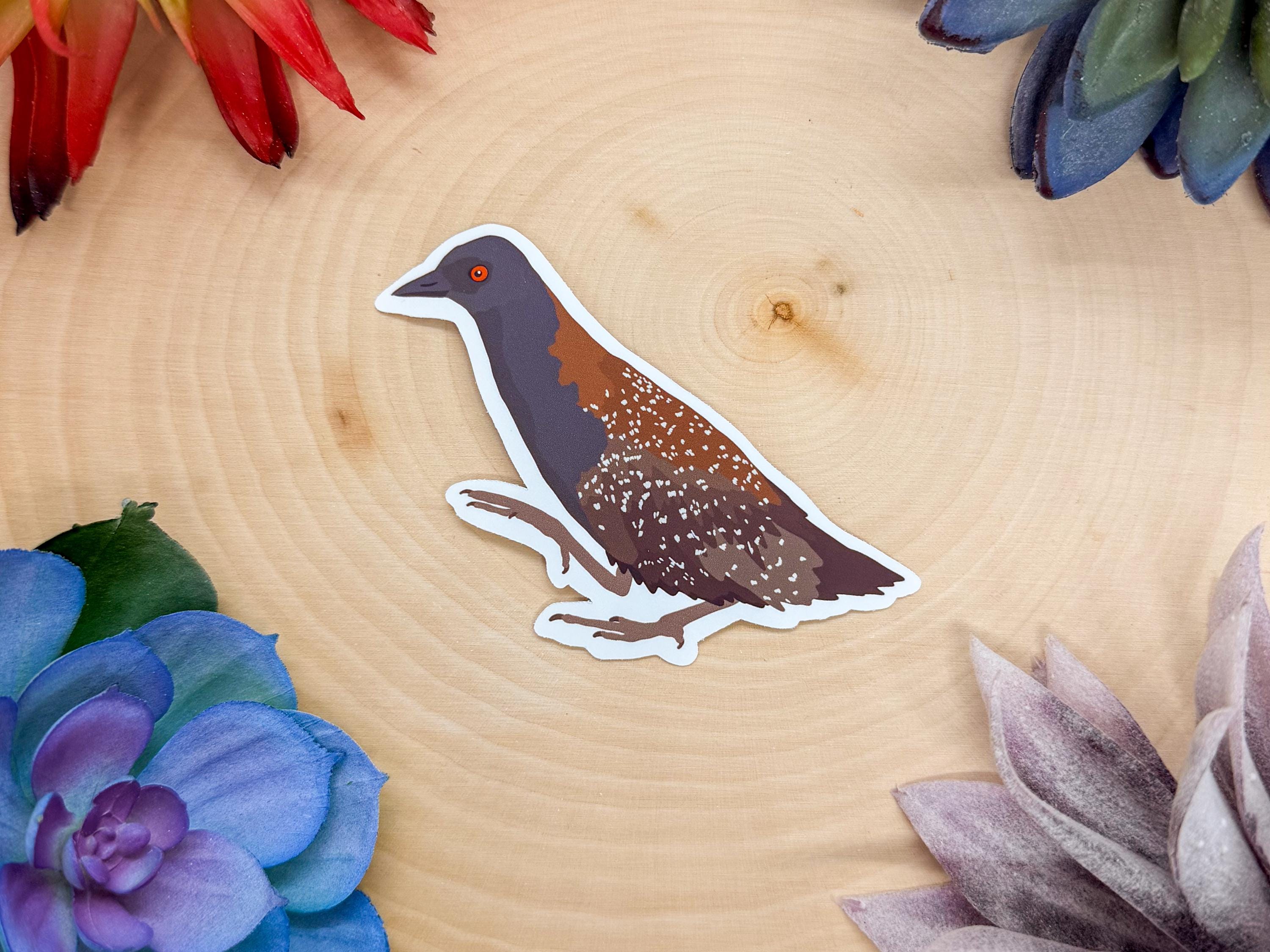 Black Rail Sticker, Black Rail Decal, Birdwatching Sticker, Bird ...