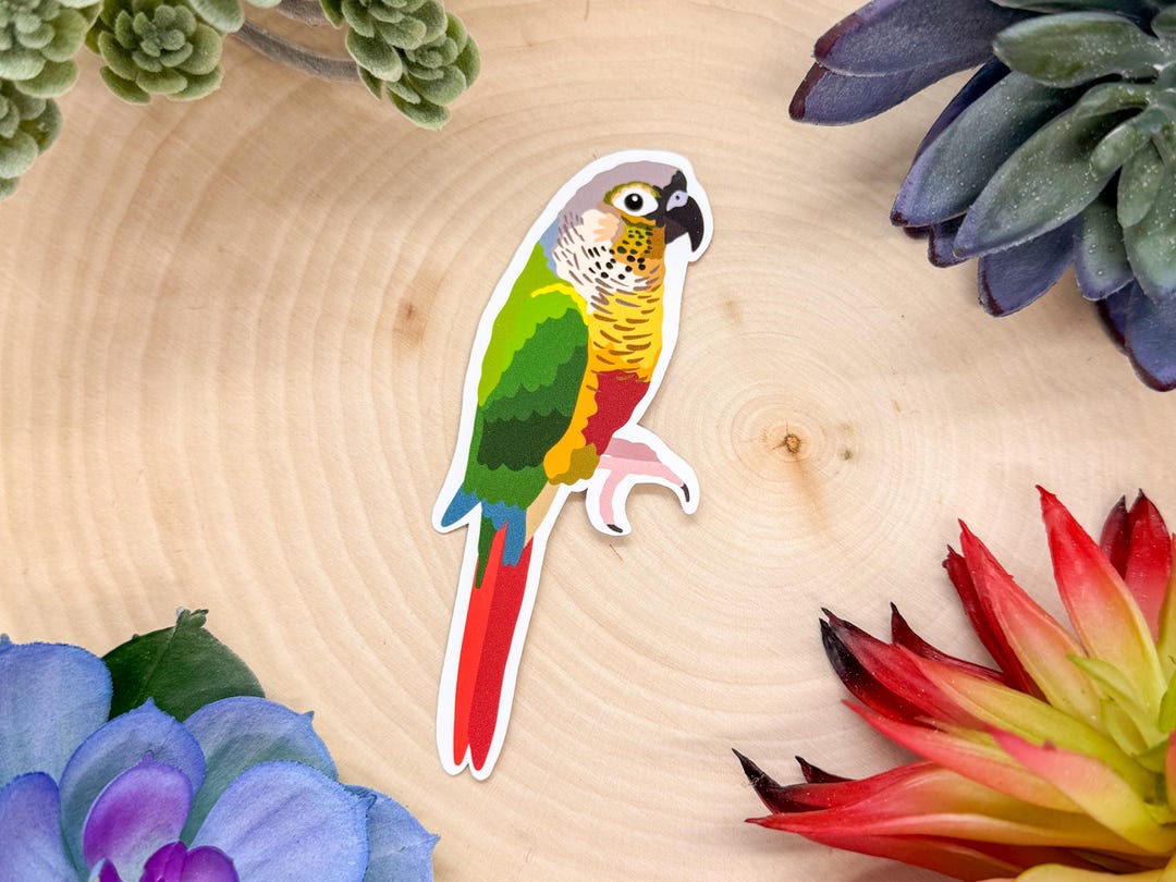 Green Cheeked Conure Sticker, Green Cheeked Conure Decal, Green Cheeked ...