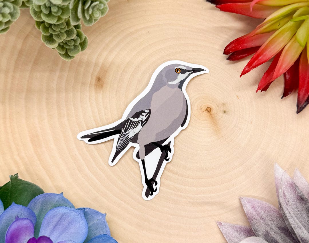 Mockingbird Sticker, Bird Sticker, Birdwatching Sticker, Birding ...