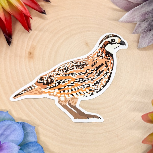 Quail Stickers - Etsy