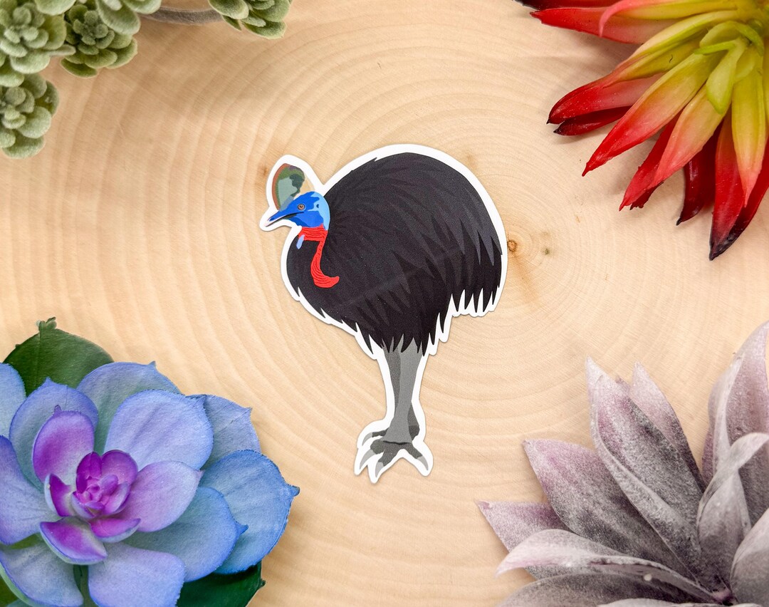 Cassowary Sticker, Bird Sticker, Birdwatching Sticker, Birding Sticker ...