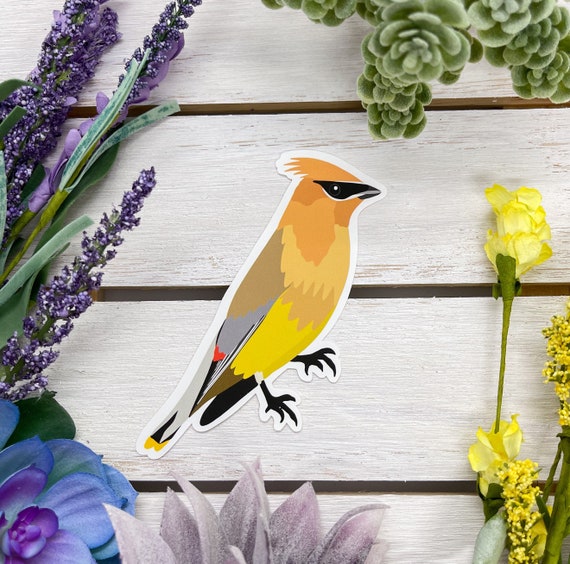 Cedar Waxwing Sticker Bird Sticker Birdwatching Sticker | Etsy